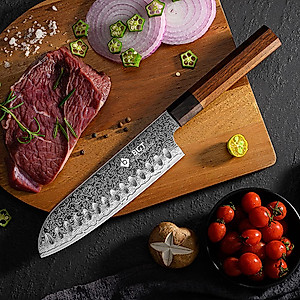 BGT 7 inch Santoku Knife, Japanese Sharp Chef Knife, Japanese VG10 67 layer Damascus Steel Kitchen Knife with Ebony Wood Handle and Gift Box