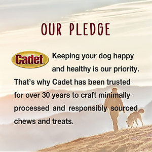Cadet Stuffed Shin Bones - Highly Digestible, High Protein, Long-Lasting Dog Chew Bone for Aggressive Chewers, Supports Dental Health, - Peanut Butter Flavor, Small (3 Count)