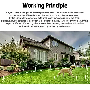 HEXIEDEN Wired Electric Dog Fence,In-ground Pet Safe Containment System,Covers up to 1.2 Acre,650 Ft Wire,Waterproof/Rechargeable Training Collar,Shock/Tone Correction,for 1 2 3 Dog,for3dogs