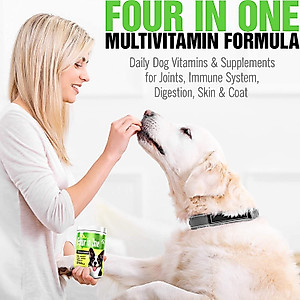 IE 4 in 1 Dog Multivitamins | Joint Support, Immune Health, Skin and Heart Health | Hip Joint Support, Skin Coat, Heart Health, Gut & Immune | 90 Soft Chews