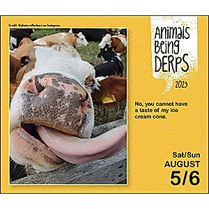 Animals Being Derps 2023 Day-to-Day Calendar: The Internet's Funniest Animals at Their Goofiest