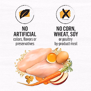 Purina Beyond Natural Dry Cat Food Wholesome Ingredients for Whole Health White Meat Chicken and Whole Oat Meal Recipe - 3 lb. Bag