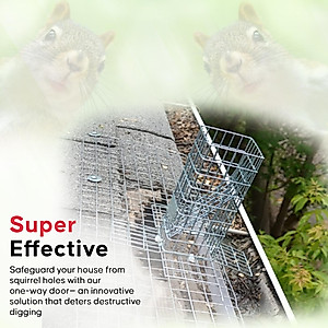 Rhino Excluders® S35 One Way Door for Squirrels, Rats, Chipmunks and Similar Size Rodents - Live Trap Alternative