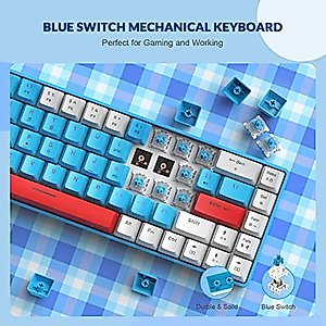 ZIYOU LANG RK-T8 Wired 65% Mechanical Gaming Keyboard with RGB LED Backlit Anti-ghosting TKL Mini 68 Key Custom Coiled C to A Cable Tactile Blue Switch for PS4 PS5 Xbox PC Mac Gamer(White/Blue/Red)