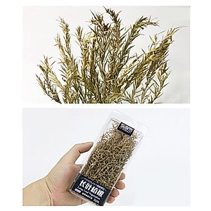 Cayway 2 Pack Static Grass Tuft, 2 Color Model Grass Tufts Railway Artificial Grass Long Shrub Vegetation Groups for DIY Architecture Building Model Railway Train Diorama Garden Scenery