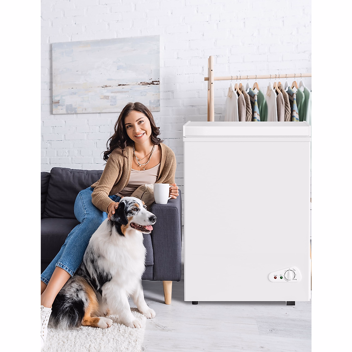 Bodacious Ultra Quiet Deep Freezer - 5.0 Cu Ft Compact Chest Freezer with Fast Freeze Performance, Low Power Consumption, Ideal for Home, Restaurant, and Small Shops