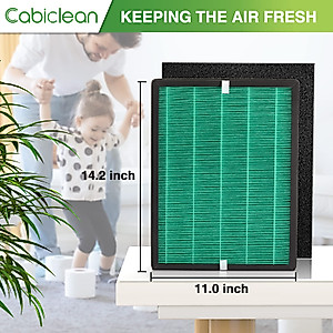 Filter Replacement Sets for Coway Airmega 150 Air Purifier, 2 Green True HEPA and 8 Active Carbon Filter, AP-1019C-FP