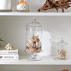 Motifeur Glass Apothecary Jars, Bathroom Storage Organizer Stand, Decorative Wedding Candy Buffets Container (Clear)