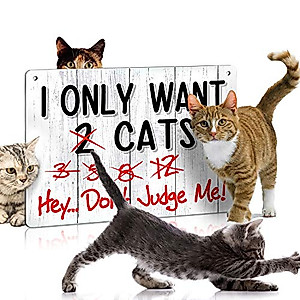 Bigtime Signs Cat Sign - I Only Want Cats - Cat Decor Funny Gag Gifts for Window, Office, Bedroom Decor - Funny Cat Gifts for Indoor or Outdoor use - Best Cat Gifts For Cat Lovers and Cat Decorations