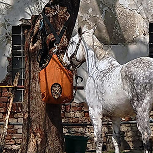 Rosemarie Horse Bucket Strap Hangers,Horse Suppliers Adjustable Nylon Straps up to 700 lbs for Hay Nets, Water Buckets,Barn Hanging-Pratical and Easy Use (2 Pack) (Black)