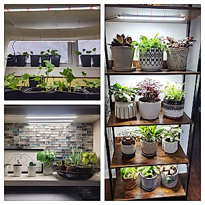 Wiaxulay LED Plant Grow Light Strips, 6000K Full Spectrum Grow Lights for Indoor Plants, Sunlike Growing Lamp with 6/12/16H Timer, 5 Dimmable Levels for Hydroponics Succulent, Plant Shelf, 2 Packs