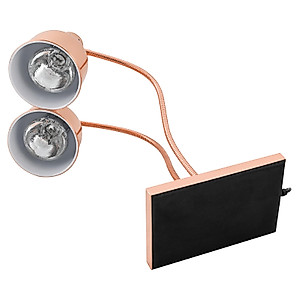 Food Heat Lamp, Commercial Food Warmer Lamp with 360°Adjustable Head 2 Dual 250w Bulbs, Food Warming Heating Light for Restaurant Kitchen Buffet (Rose Gold)