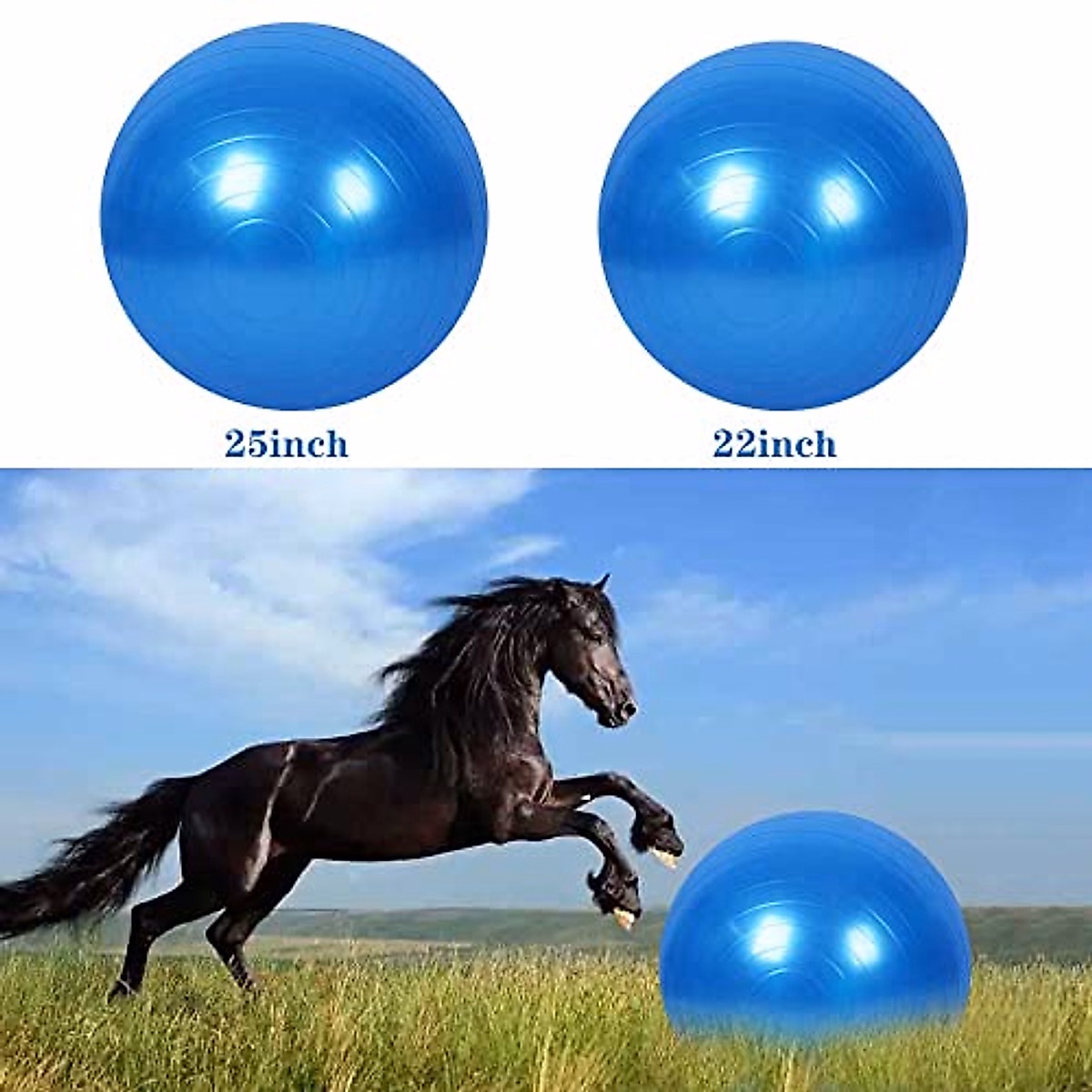 Chyesong Horse Ball Training Toy, Anti-Burst Horse Exercise Ball Toy with Inflator Pump for Horse Lamb Goat Enterainment Toy Ball (22 Inch, Blue)