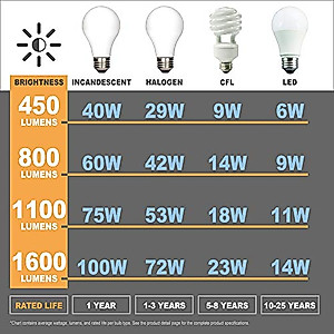 Asencia AN-03679 40 Watt Equivalent G25 Globe Frosted All Glass Vintage Filament Dimmable LED Light Bulb, Soft White, 6-Pack, 6 Pack