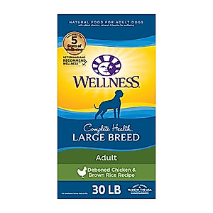 Wellness Complete Health Large Breed Adult Dry Dog Food, No Corn or Wheat, Made in USA with Real Meat, Natural Ingredients, Glucosamine, Probiotics & Omega Fatty Acids (30-Pound Bag)