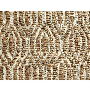 Chesapeake SunnyVale Natural Area Rug (2' x 3')