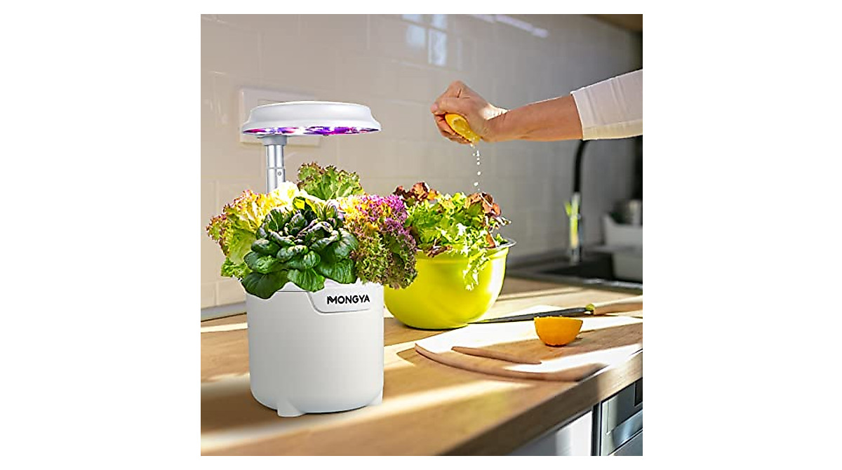 Smart Mini Hydroponics System: Indoor Herb Garden Kit & LED