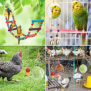 7 Packs Chicken Toys Set, Chicken Coop Accessories for Hens, Baby Chicken Xylophone Toys, Chicken Ladder Bird Swings Toy, Chicken Mirror Toys Veggies Skewer Fruit Holder Vegetable Hanging Feeder
