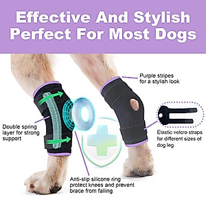 Dog Leg Brace for Back Leg Rear Leg Hock Ankle, Dog Hip Brace for Sprains, Torn Ligaments and Post-Op, Strong Support Help, Lightweight, Promotes Faster Recovery and Reduce Pain, 1 Pair, Medium