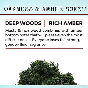 Malicious Women Candle Co - Buy The Fucking Dip!, Oakmoss & Amber Infused with Regret & Envy, All-Natural Soy Candle, 9 oz