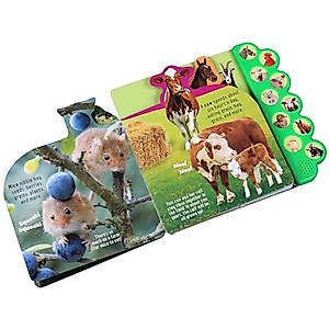 Discovery: Moo on the Farm! (10-Button Sound Books)