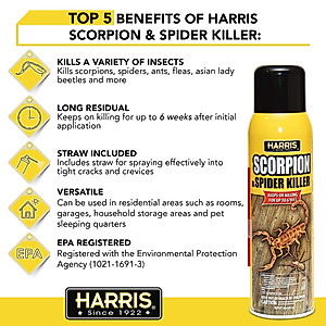 HARRIS Scorpion and Spider Killer, 16oz Aerosol with 6 Week Residual Kill