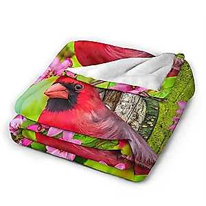 YETOUTOU Cardinal Bird Gifts Christmas Throw Blanket (50"X40") Lightweight Flannel Fleece Blanket for Couch Bed Sofa Travelling Camping for Kids Adults