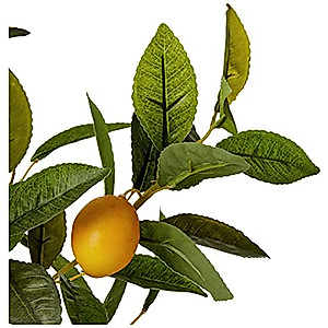 Amazon Brand - Stone & Beam Artificial Lemon Citrus Tree with Ceramic Pot, 2 Feet (24 Inches), Indoor