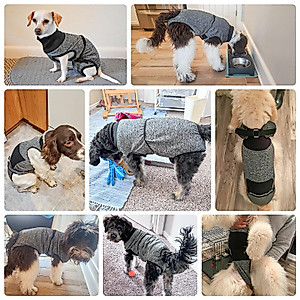 BEAUTYZOO Dog Recovery Suit Female After Surgery Spay, Soft Dog Surgery Suit E-Collar & Cone Alternative, Male Dog Neuter Surgical Onesies,Anti Licking Wounds Dog Bodysuit, Post-Operative Vest Clothes