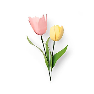 Sizzix Thinlits Die Set 8 Pack Tulip by Jennifer Ogborn, Multicolor