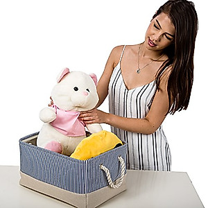 DAE Living Fabric Storage Bins (Set of 2) | Extra Stiff Canvas Fabric | Wire Framed | Fully Lined Interior | Perfect for Clothes, Toys, Shoes, Pet Supplies, Nurseries, Closet and Shelf Storage