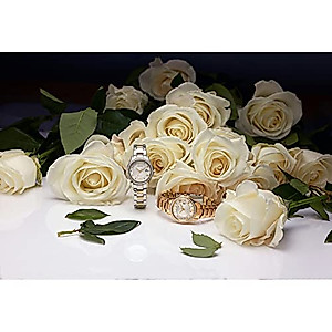 Citizen Ladies' Eco-Drive Classic Crystal Watch in Gold-Tone Stainless Steel, Champagne Dial