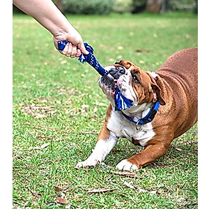 ROGZ Scrubz, Large, Colors Vary