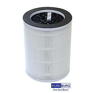 PUREBURG P100 Replacement True HEPA Filters Compatible with Welov P100 / P100 Pro Air Purifier P100-RF,H13 4-Stage Filtration Activated carbon 2-IN-1 Air Clean Dust VOCs Odor,2-Pack