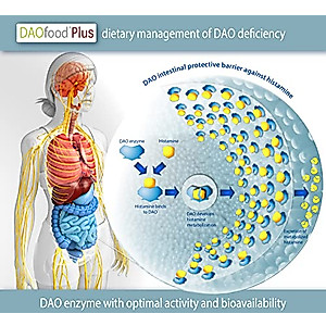 DR Healthcare DAOfood Plus - Dietary Management of DAO Deficiency/Histamine Intolerance - 60 EFICAPS Capsules with Gastro-Resistant Tablets - DAO Enzyme, Quercetin and Vitamin C