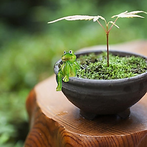 Hemoton 1 Pair Frog Ornaments Frog Sculpture Frog Garden Statute Frog Figurine Statue Model Couple Frog Figurine Outdoor Playset Decoraciones para Salas De Casa Household Resin Lawn Lovers