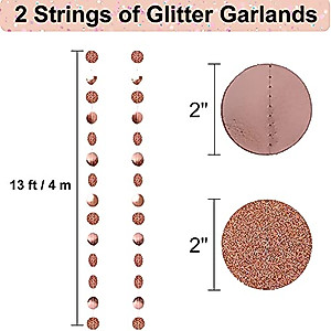 Rose Gold Party Decorations, Tissue Pom Poms, Paper Lanterns, Honeycomb Ball, Paper Circle Dots Garlands, 13 Pcs Hanging Party Supply Set for Wedding Bridal Shower Baby Shower Birthday - Rose Gold