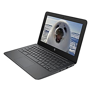 HP 2022 Chromebook 11.6" HD for Business and Student Laptop, Intel Celeron N3350 Processor, 4GB RAM, 160GB Storage( 32GB eMMc+128GB MicroSD), Intel HD Graphics, HD Webcam, Gray, Chrome OS