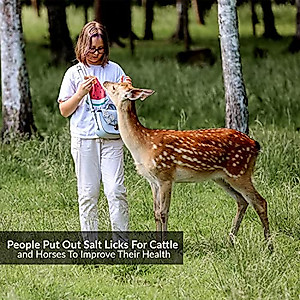 Himalayan Nature Licking Salt for Deer - 2 Pack
