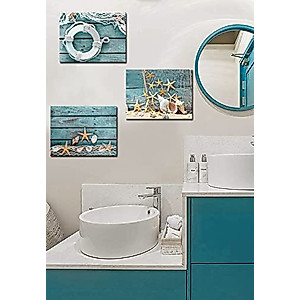 Biuteawal- 3 Piece Canvas Wall Art Starfish Shell on Teal Board Painting Prints Beach Nature Picture Canvas Artwork for Home Kitchen Bathroom Living Room Wall Decor Ready to Hang