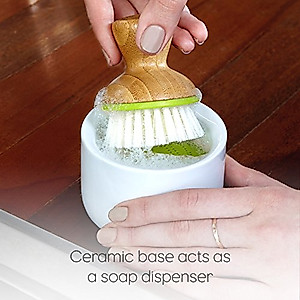 Full Circle Bubble Up Dish Brush, White (Pack of 6)