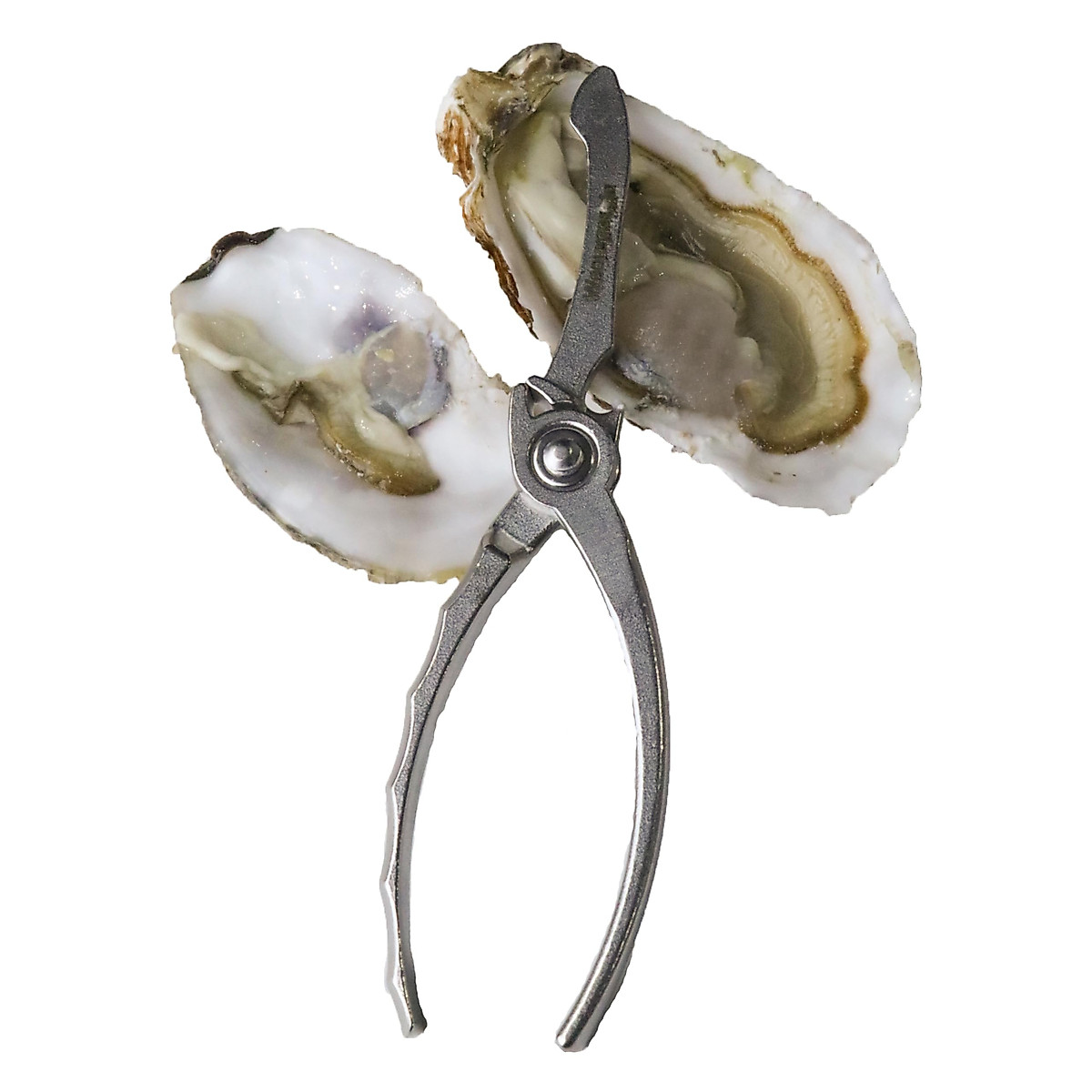 Wenyugongju Oyster Shucking Knife Stainless Steel Oyster Opener Oyster Cutter Seafood Opener for Kitchen Seafood Tool