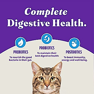 Halo Holistic Cat Food Dry, Wild-caught Whitefish Recipe for Sensitive Stomach Support, Complete Digestive Health, Dry Cat Food Bag, Sensitive Stomach Formula, 6-lb Bag
