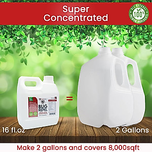 Predator Guard Bugs and Insect Repellent - Home Defense Pest Control Super Concentrate Liquid Lawn Spray for Spider, Mosquito, Ants and Roach Repellent Indoor and Outdoor Bug Spray - 16 oz