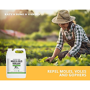 Mole & Vole Repellent for Lawns - Organic Castor Oil (128oz - 1 Gallon) - Kate's Home & Garden. Pet Safe & Non-Toxic. Pure Organic Castor Oil to Repel Moles, Voles, Rodents & Gophers Outdoor