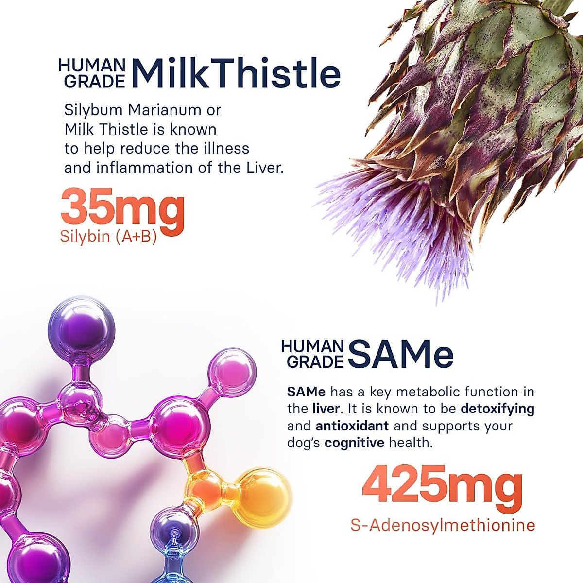 Liver Support & Health Supplement for Small Dogs and Cats – (Milk Thistle) Silymarin & Silybin Formula, (Same), S-Adenosylmethionine, 30 Tablets for Liver Detox & Support