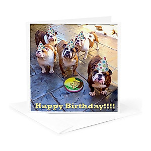 3dRose English Bulldog Birthday - Greeting Cards, 6 x 6 inches, set of 6 (gc_39567_1)