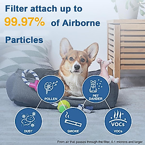 AP-1512HH True Replacement Filter Compatible with Coway Airmega Air Purifiers AP-1512HH, AP-1512HH-FP, AP-1518R, AP-1519P, 2 True HEPA Filter with 8 Activated Carbon Pre Filters, Part # 3304899