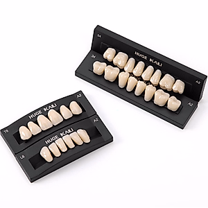 Dental Acrylic Resin Synthetic Polymer Resin Teeth Shade A2 Size T8 (28Pcs/Set)