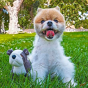 Unique Bulldog Plush Toy - Adorable Crinkle Toy with Squeaker - Suitable for Puppies to Large Dogs